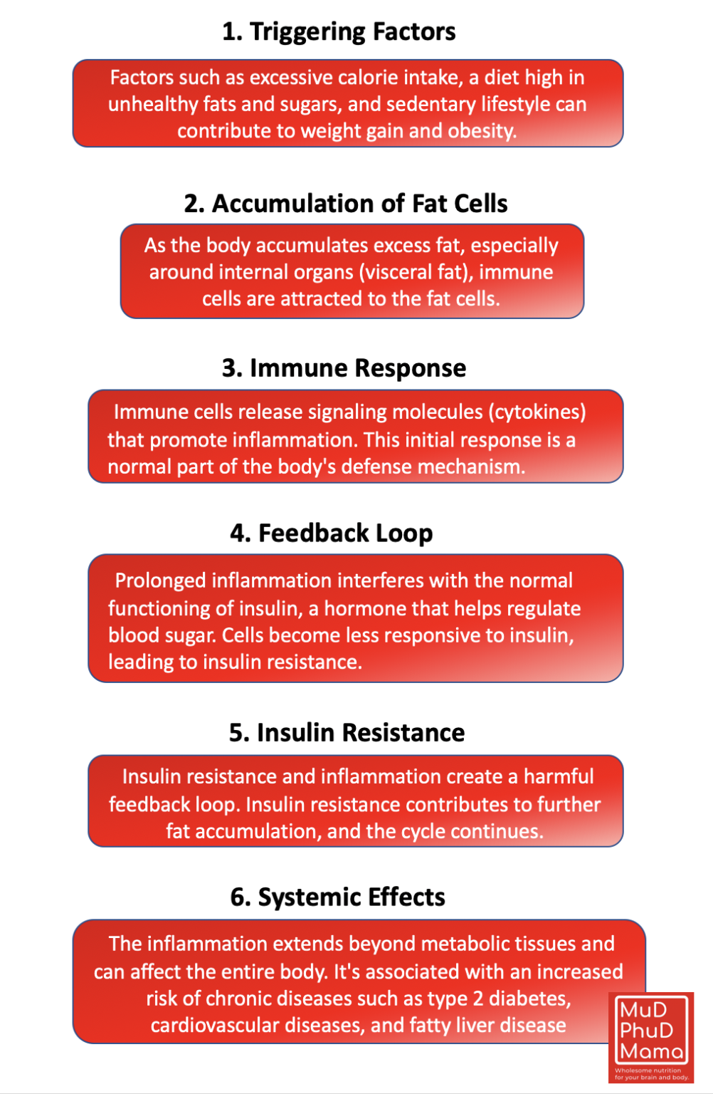 The Inflammatory Link: Understanding How Inflammation Causes Metabolic ...